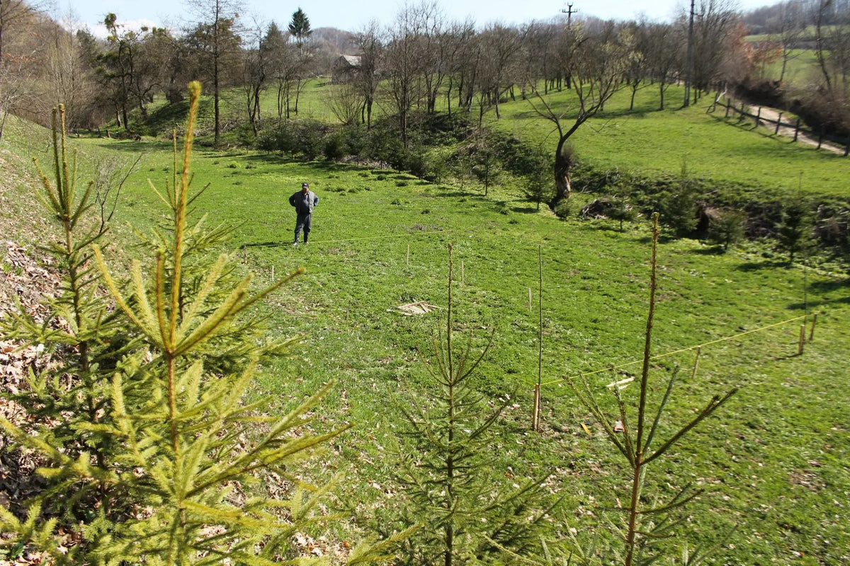 Ten years since the first contact with the land at Idicel Pădure